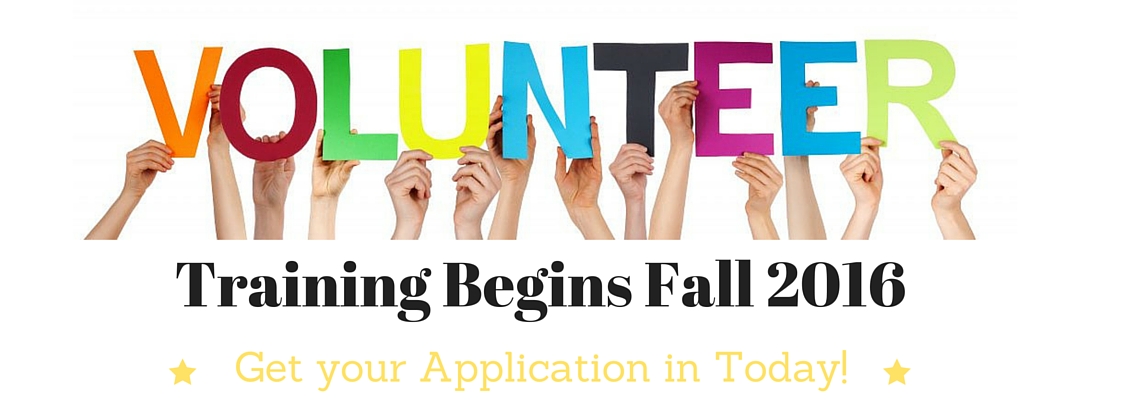 Home - Victim Services